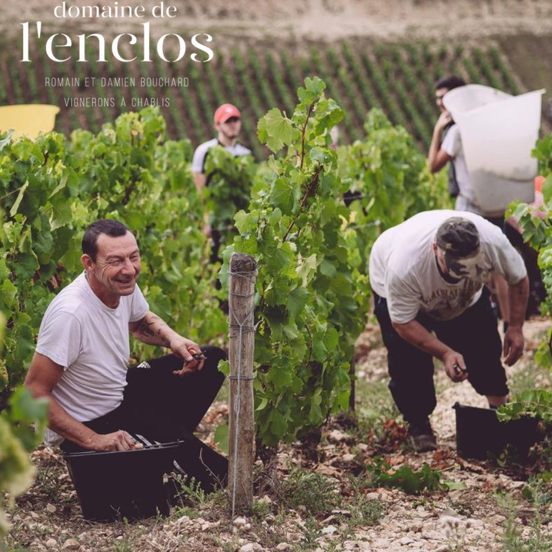 The Enclos estate! True expertise! – Les Grappes